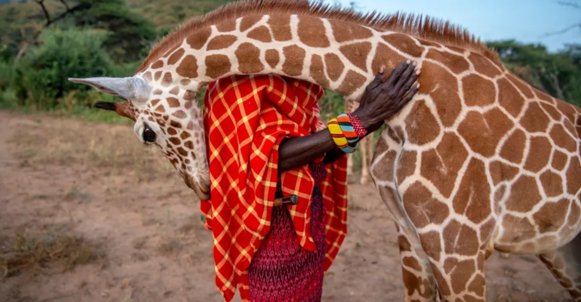 Speranza selvaggia di Ami Vitale - BASE Milano