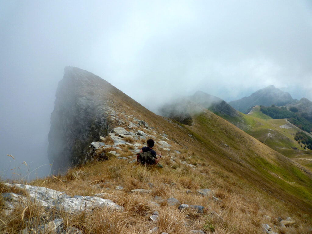Jaxon Pope and Riccardo Centazzo — Becoming lore: relations and ...